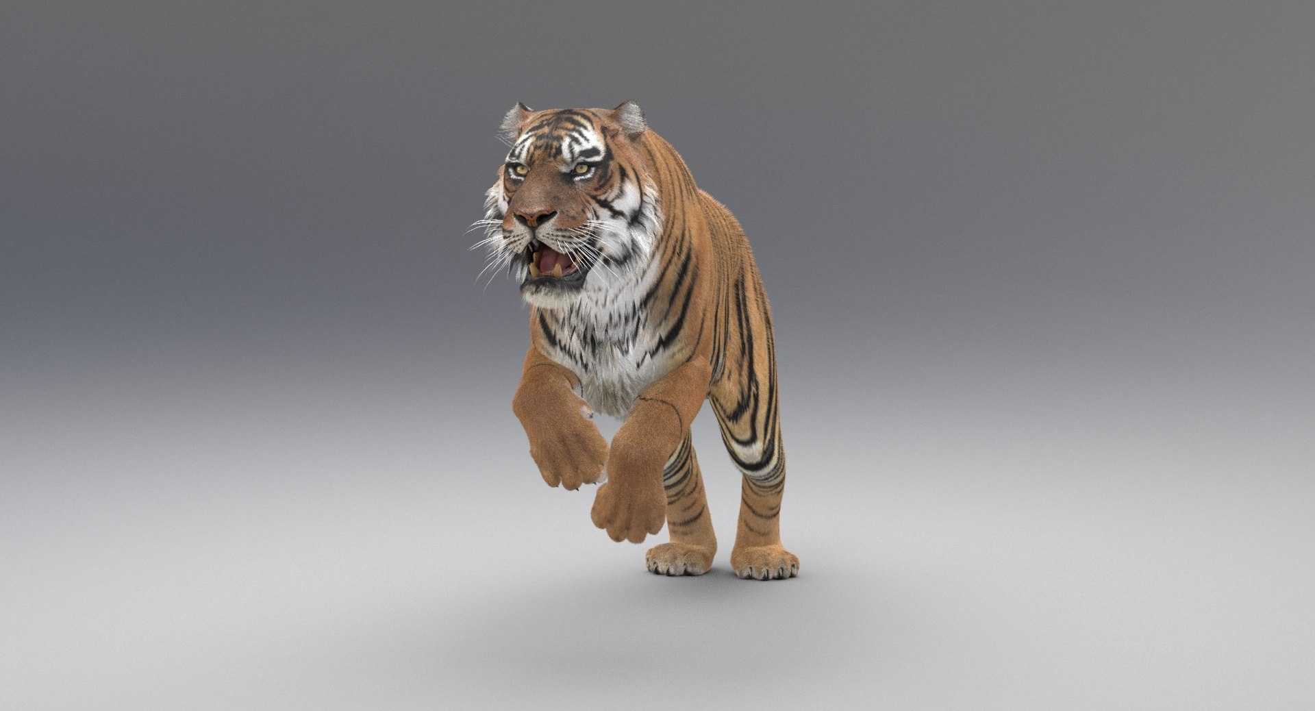 3D realistic tiger fur ornatrix model - TurboSquid 1229847