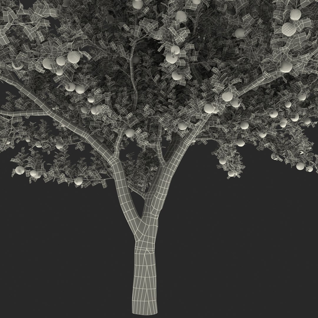 3d Apple Tree Model