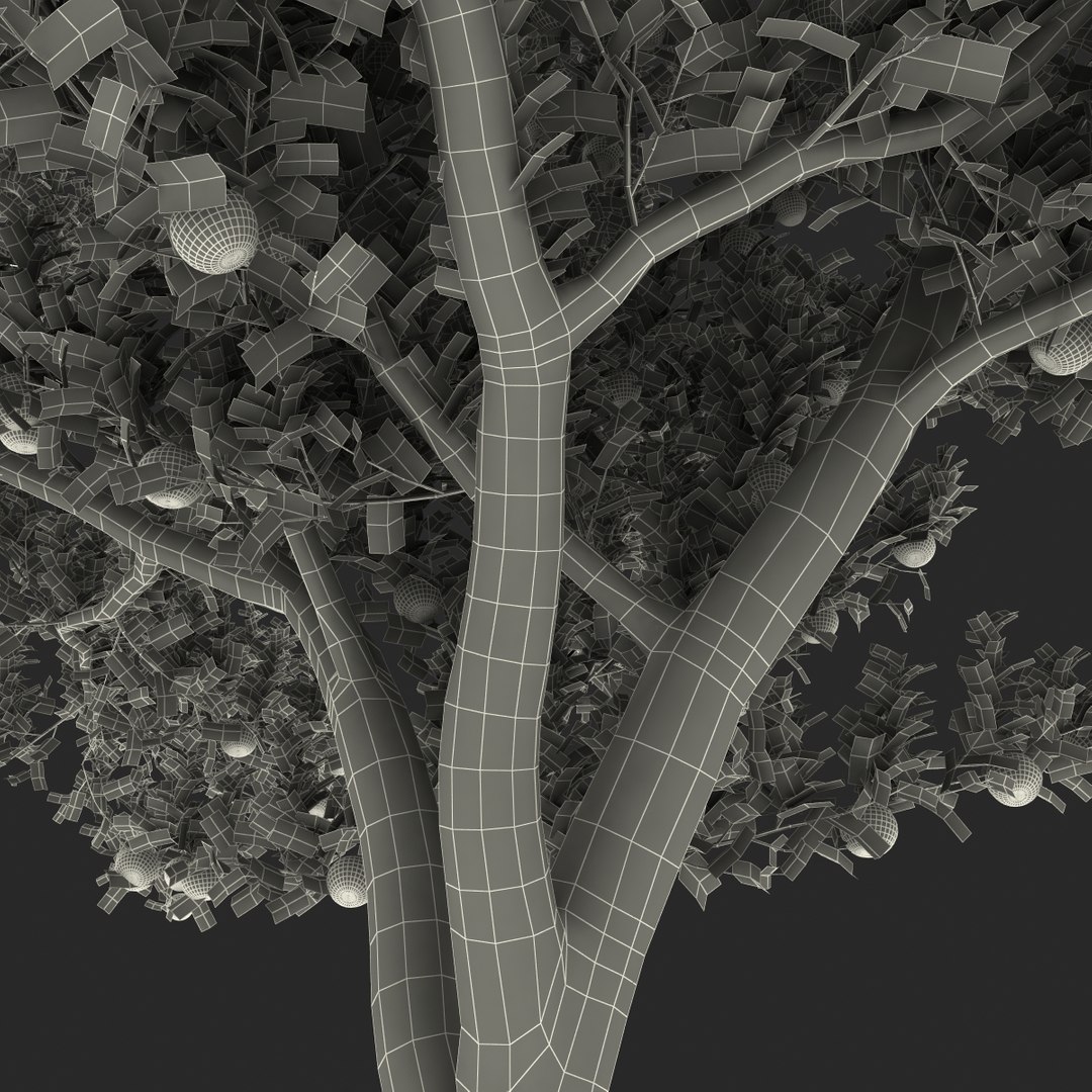 3d Apple Tree Model