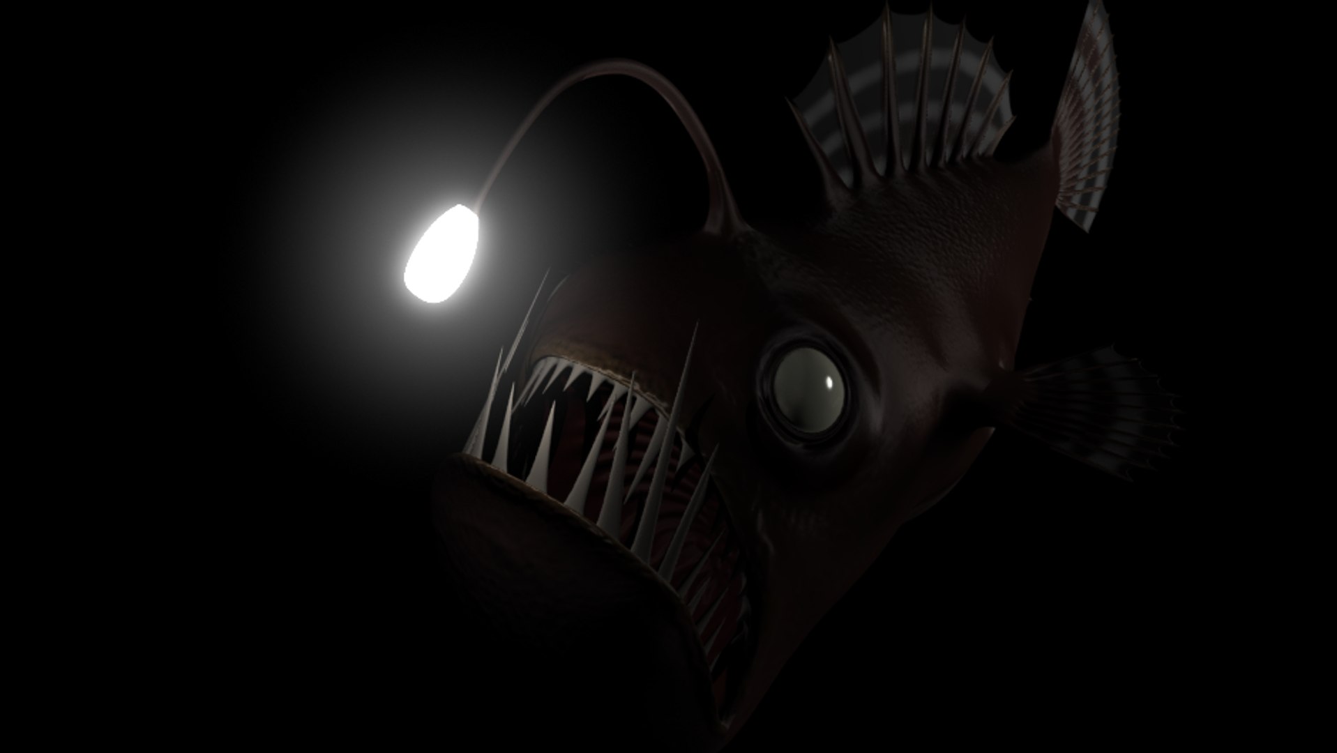 Angler fish 3D model - TurboSquid 1081490