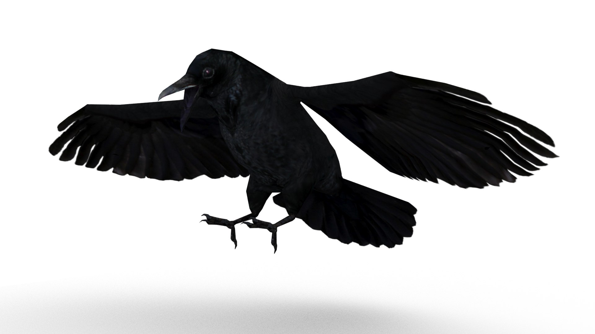 Crow Animations 3d Max