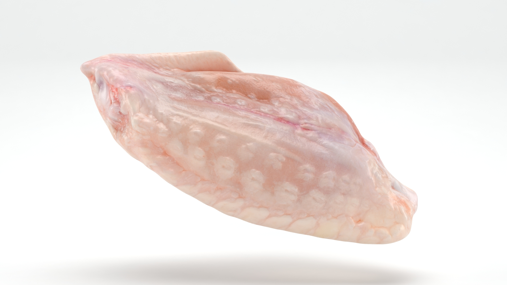 3D Fresh Raw Chicken Middle Wing Collection Model - TurboSquid 2172017