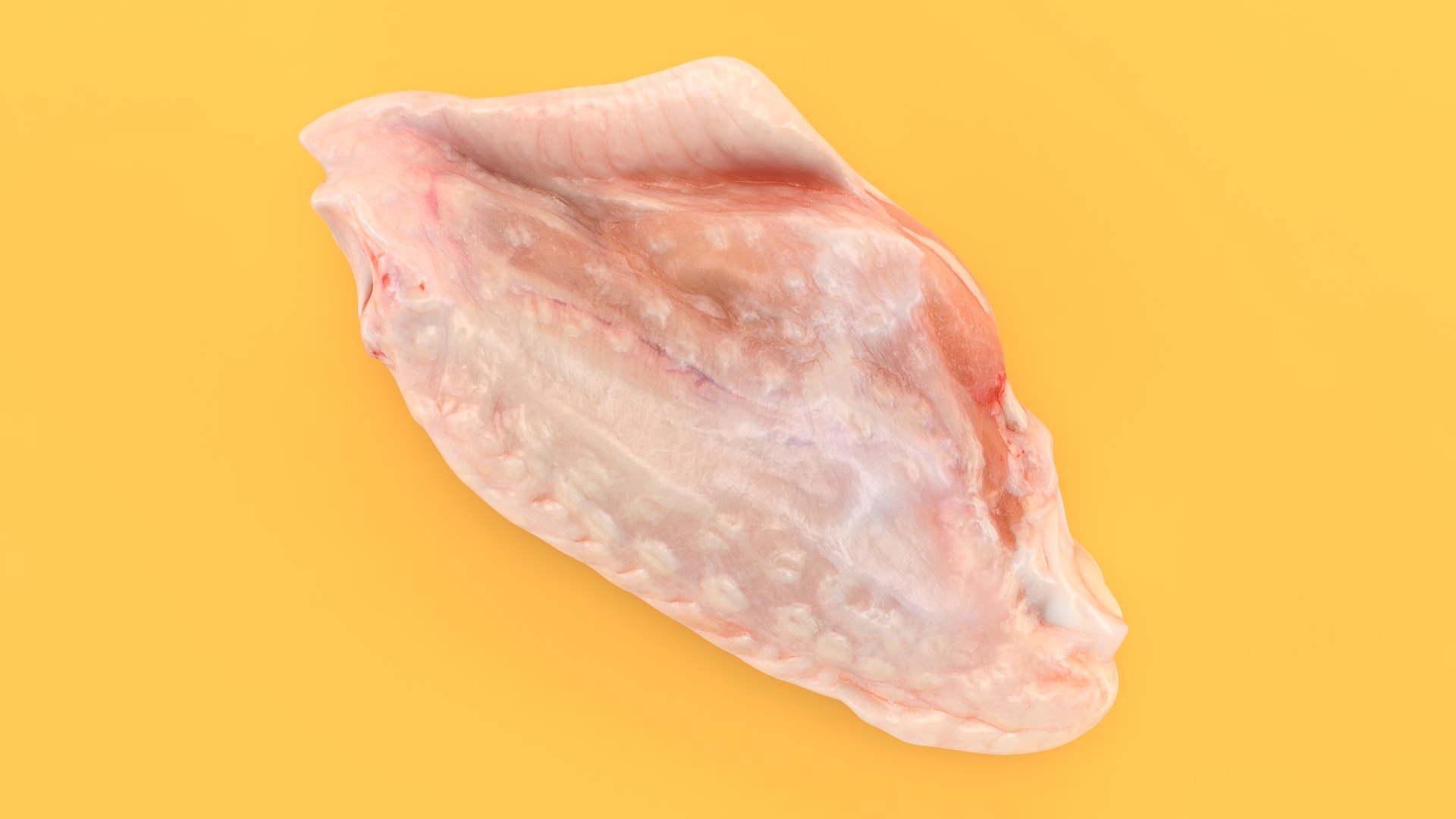 3D Fresh Raw Chicken Middle Wing Collection Model - TurboSquid 2172017