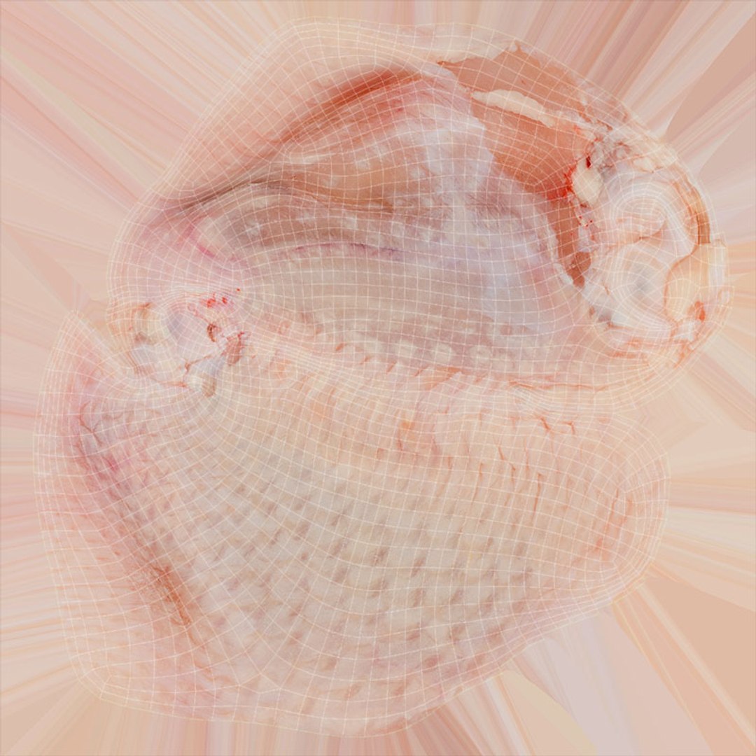 3D Fresh Raw Chicken Middle Wing Collection Model - TurboSquid 2172017