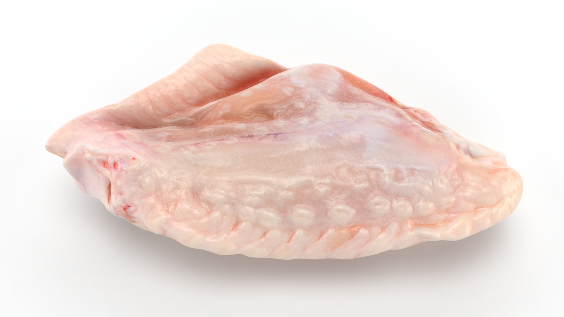 3D Fresh Raw Chicken Middle Wing Collection Model - TurboSquid 2172017