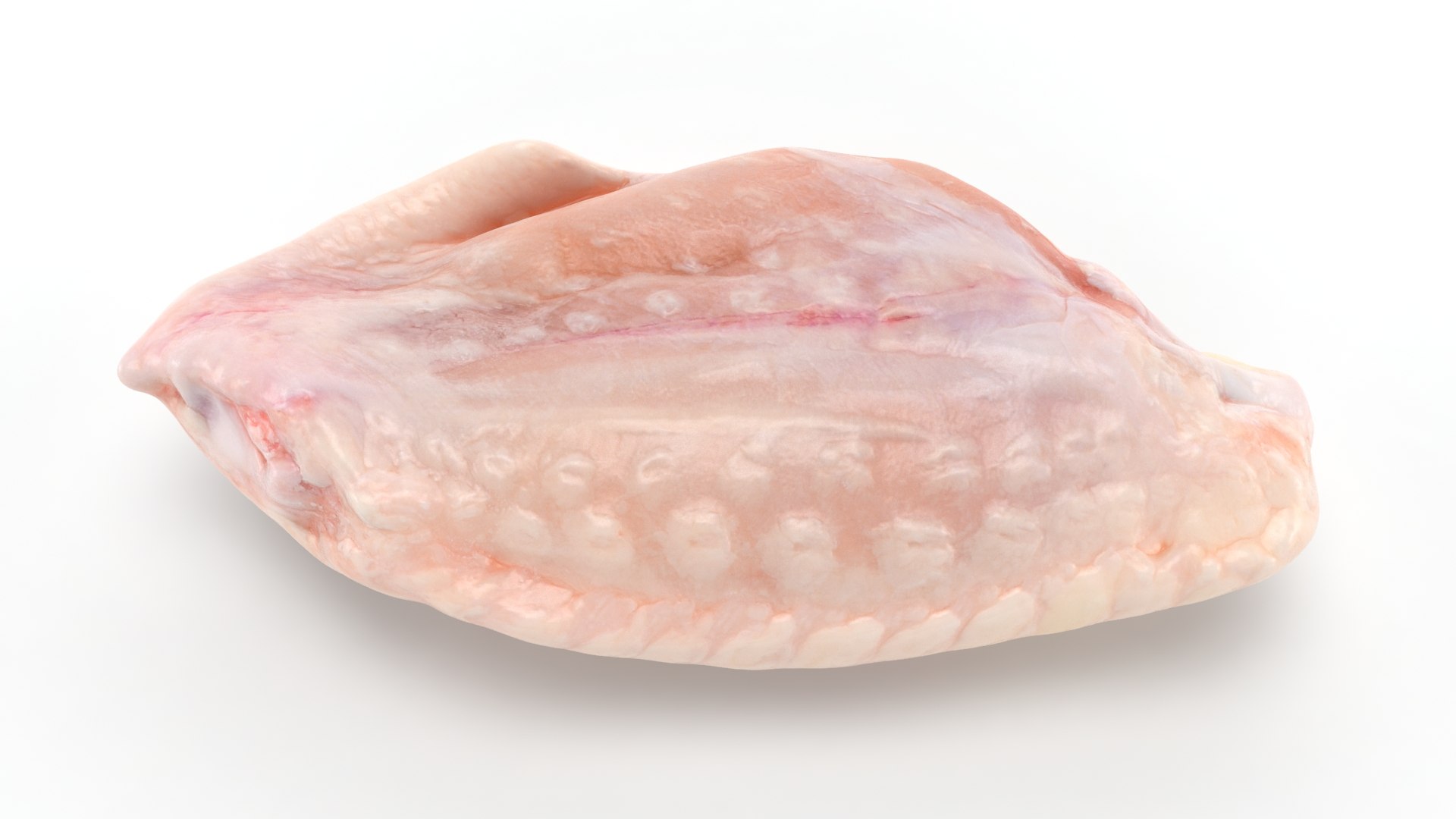 3D Fresh Raw Chicken Middle Wing Collection Model - TurboSquid 2172017