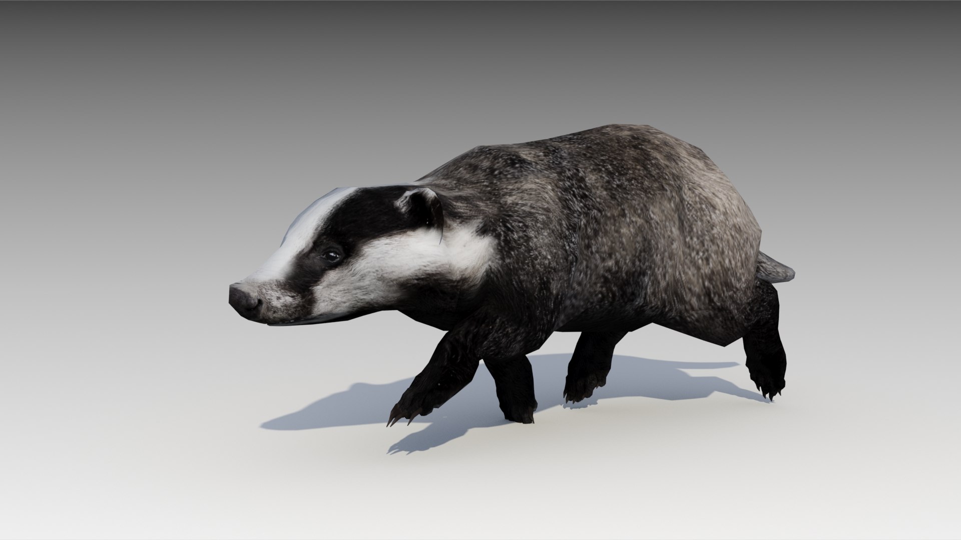 3D Badger - TurboSquid 1194651