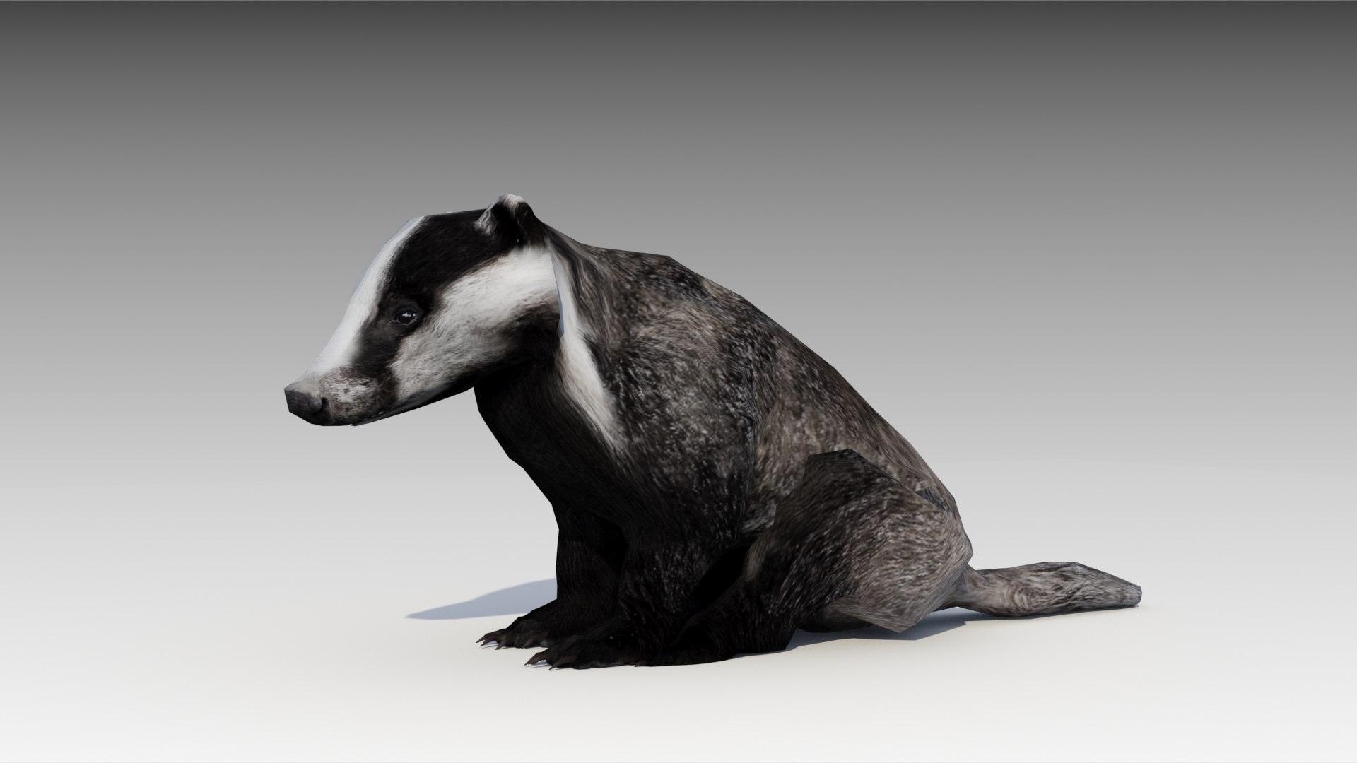 3D Badger - TurboSquid 1194651