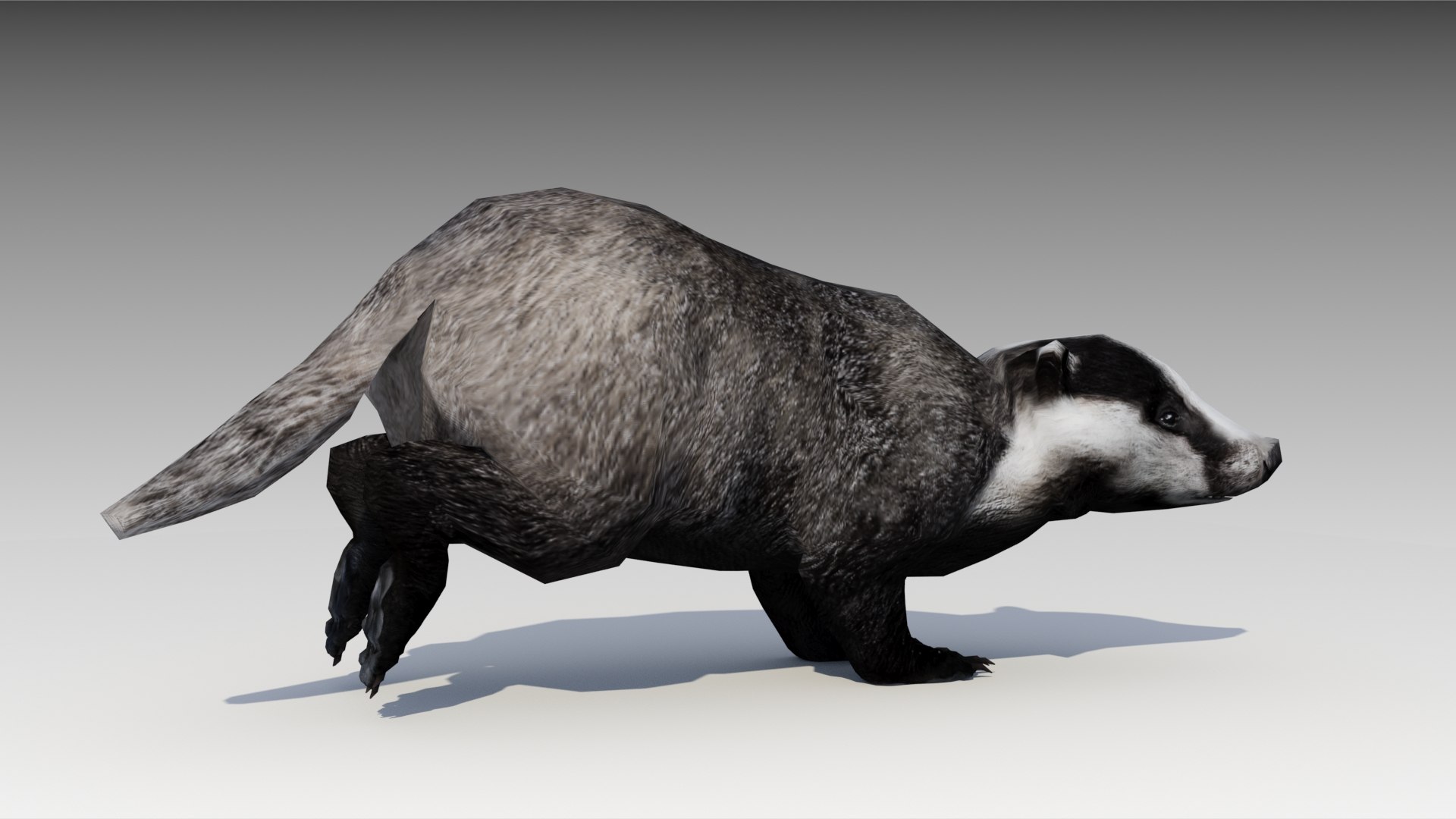 3D Badger - TurboSquid 1194651