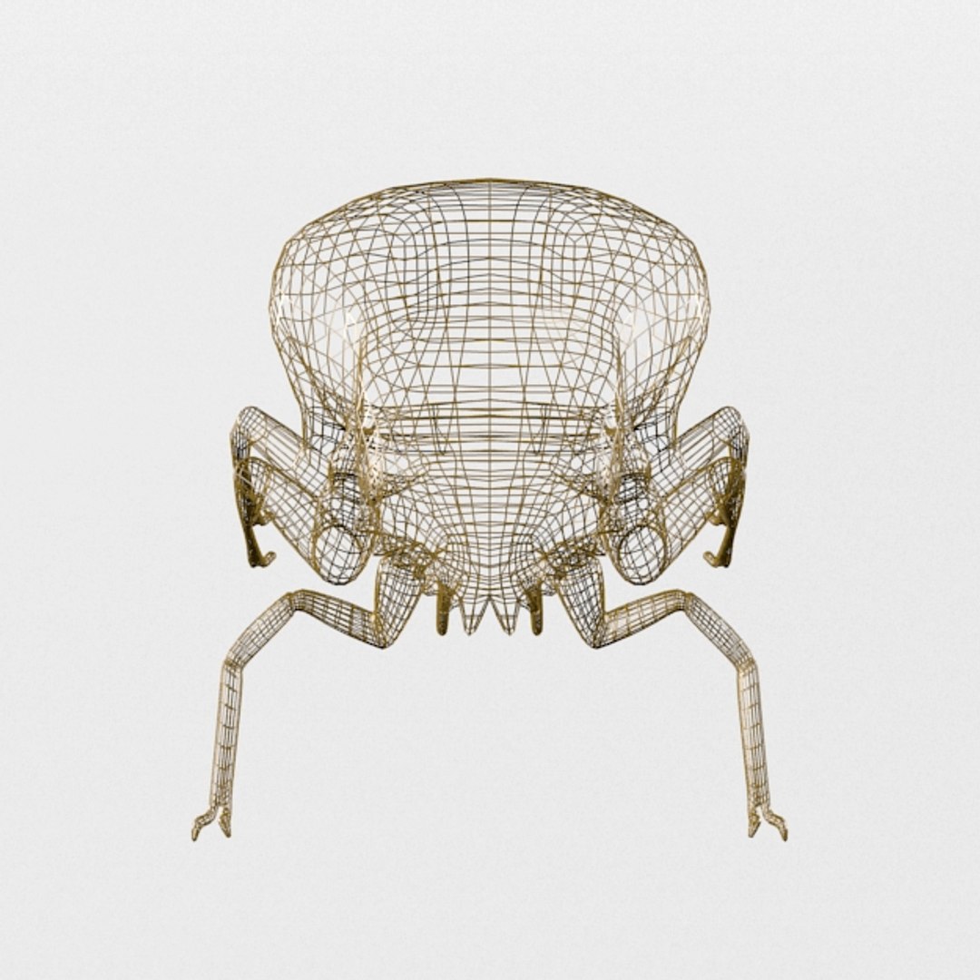 Flea 3D - TurboSquid 1364322