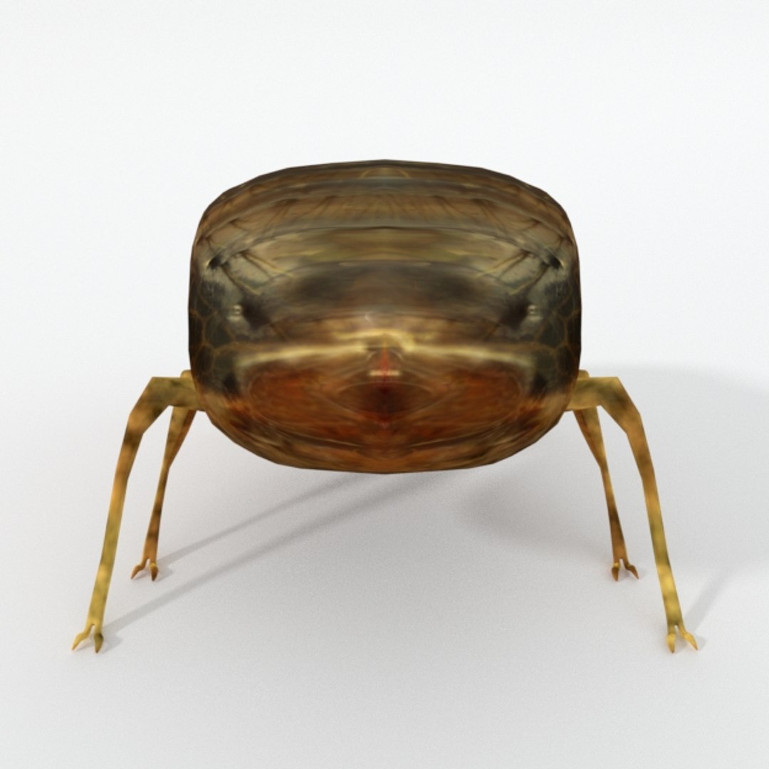 Flea 3D - TurboSquid 1364322