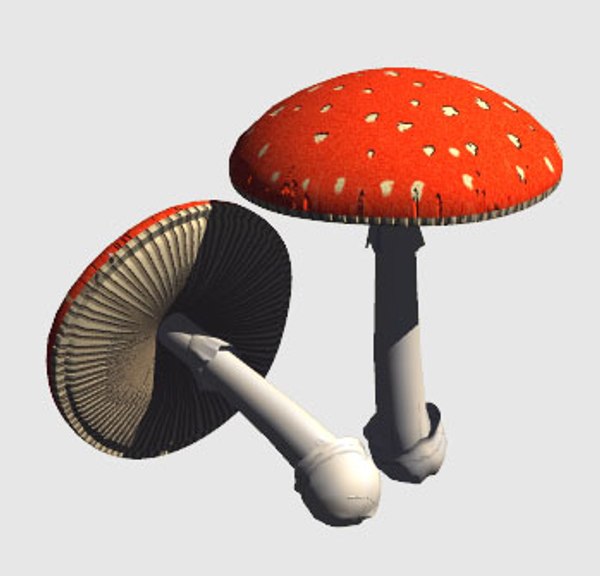 toadstools 3d model