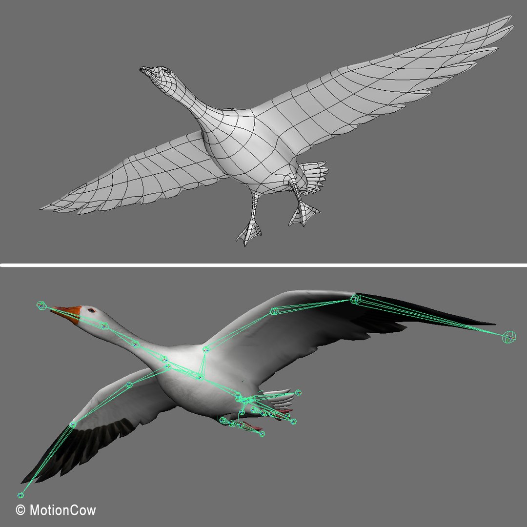 Flying Goose 3d Model