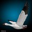 Flying Goose 3d Model