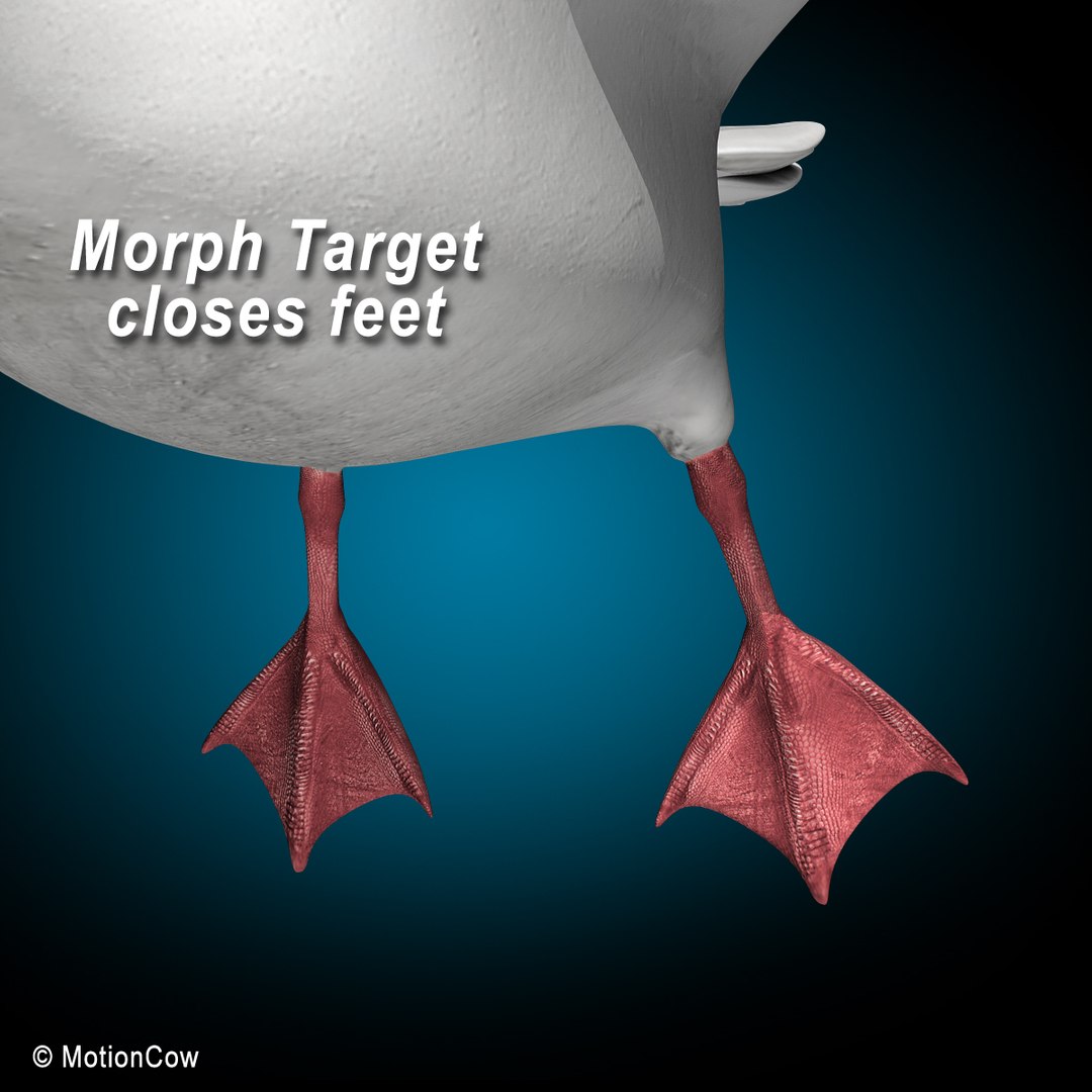 Flying Goose 3d Model