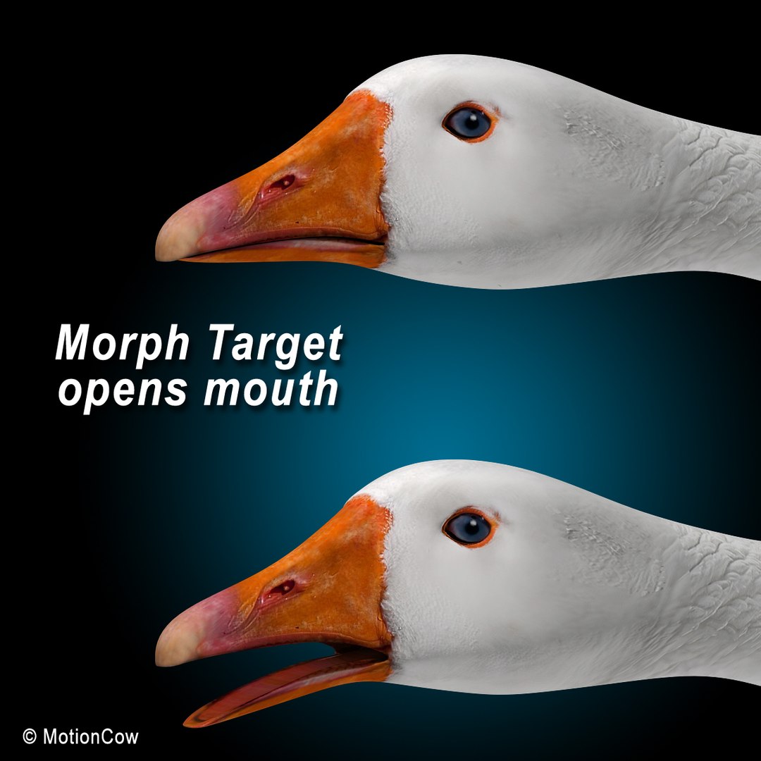 Flying Goose 3d Model