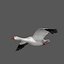 flying goose 3d model