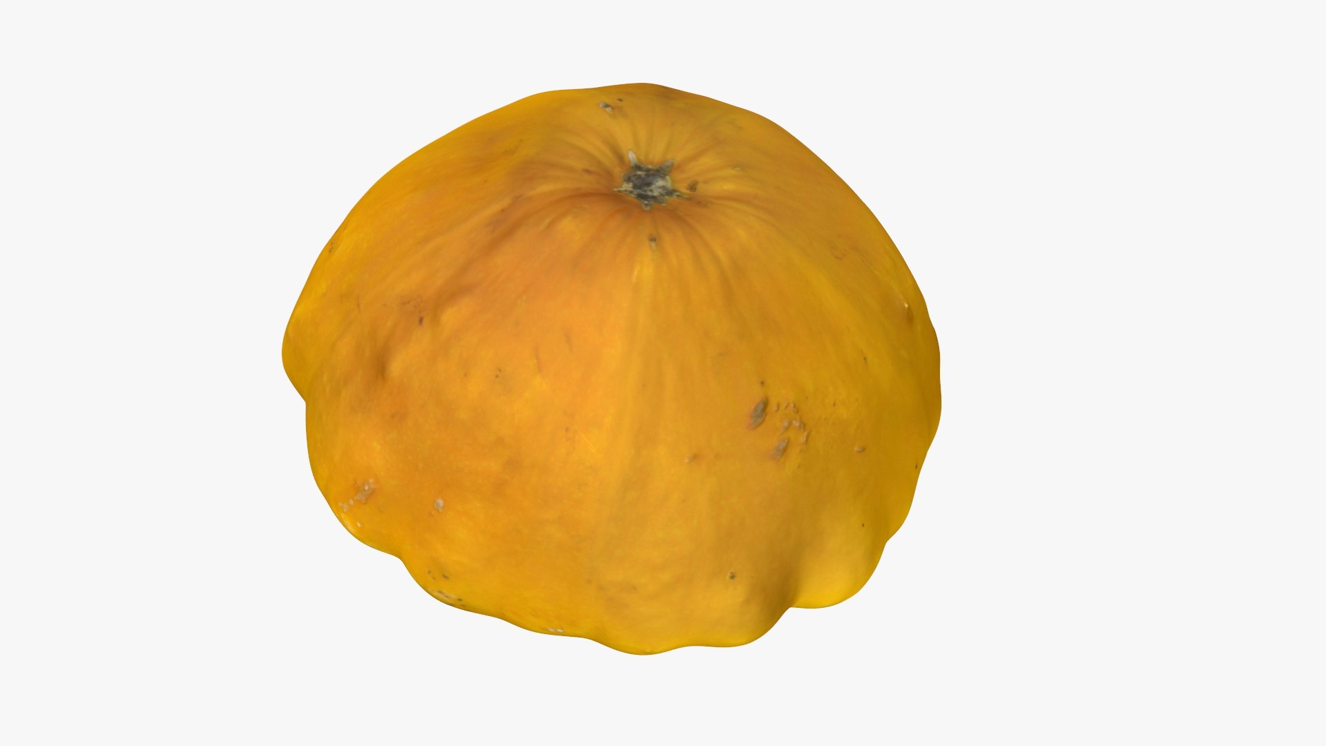 Squash 3D Model - TurboSquid 1789243
