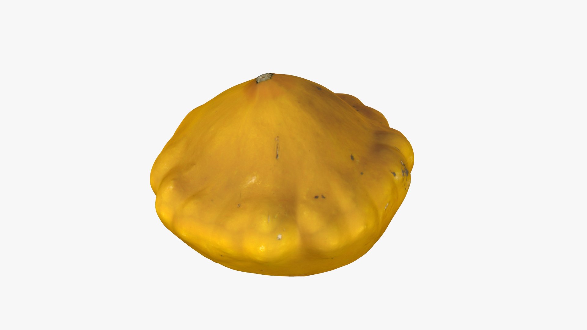 Squash 3D Model - TurboSquid 1789243