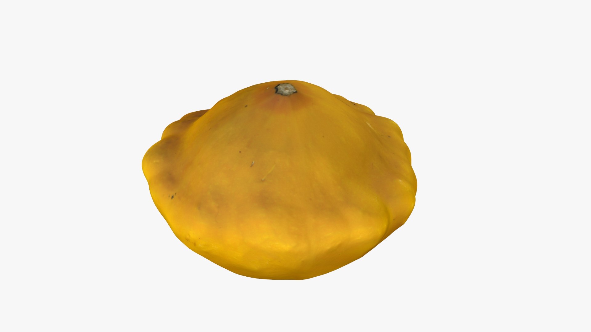 Squash 3D Model - TurboSquid 1789243