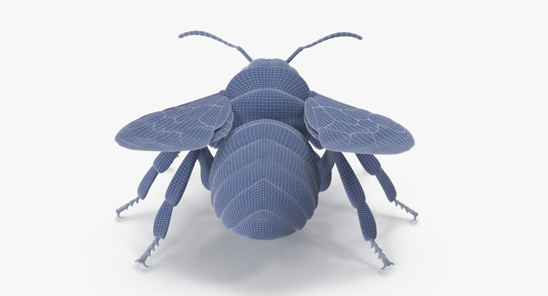Bee Bumblebee 3d Model