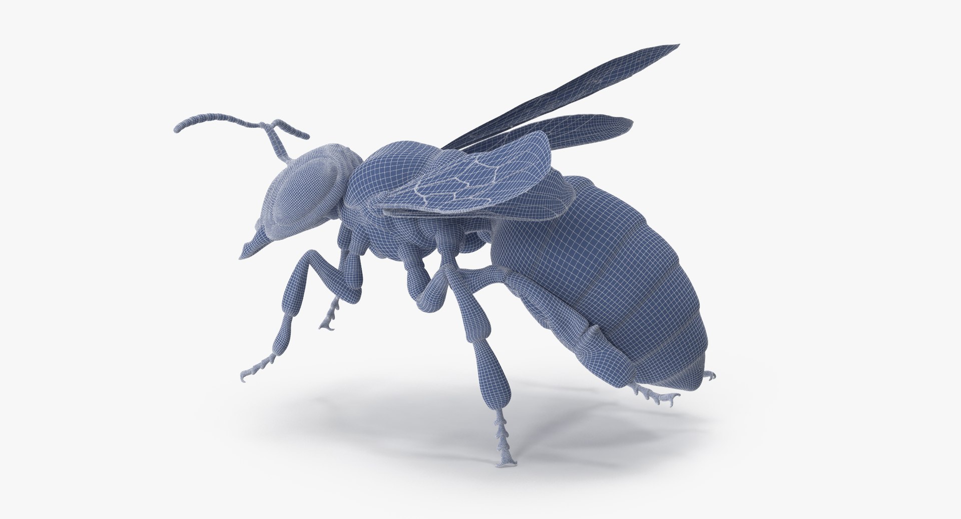 Bee Bumblebee 3d Model