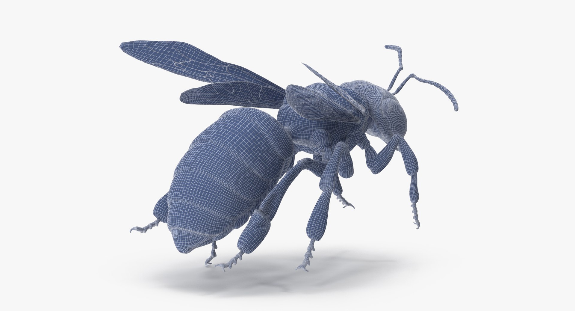 Bee Bumblebee 3d Model
