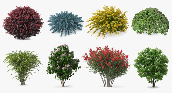 3D model Bushes Collection 7 - TurboSquid 2003495
