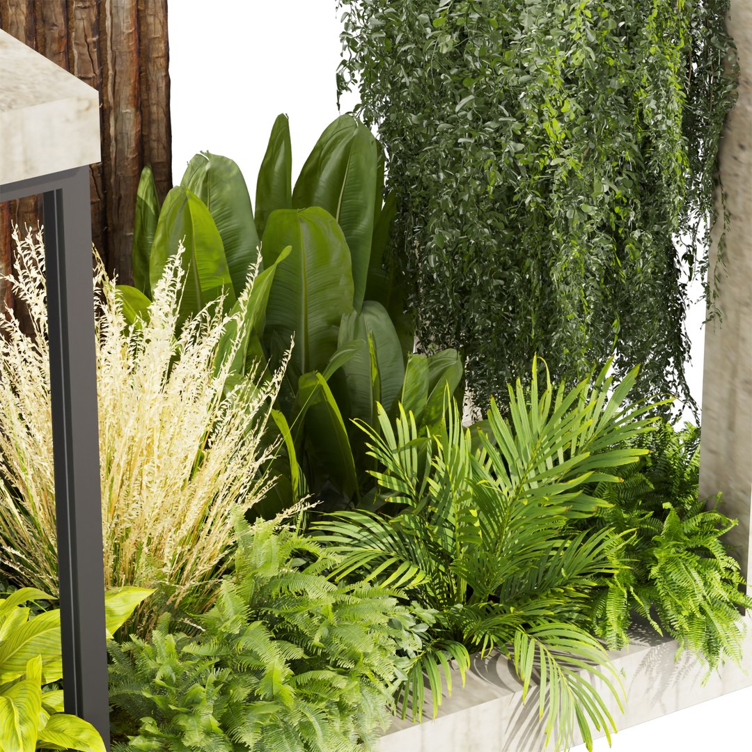 3D Collection Plant Vol 534 - Garden - Landscape Design - Backyard ...