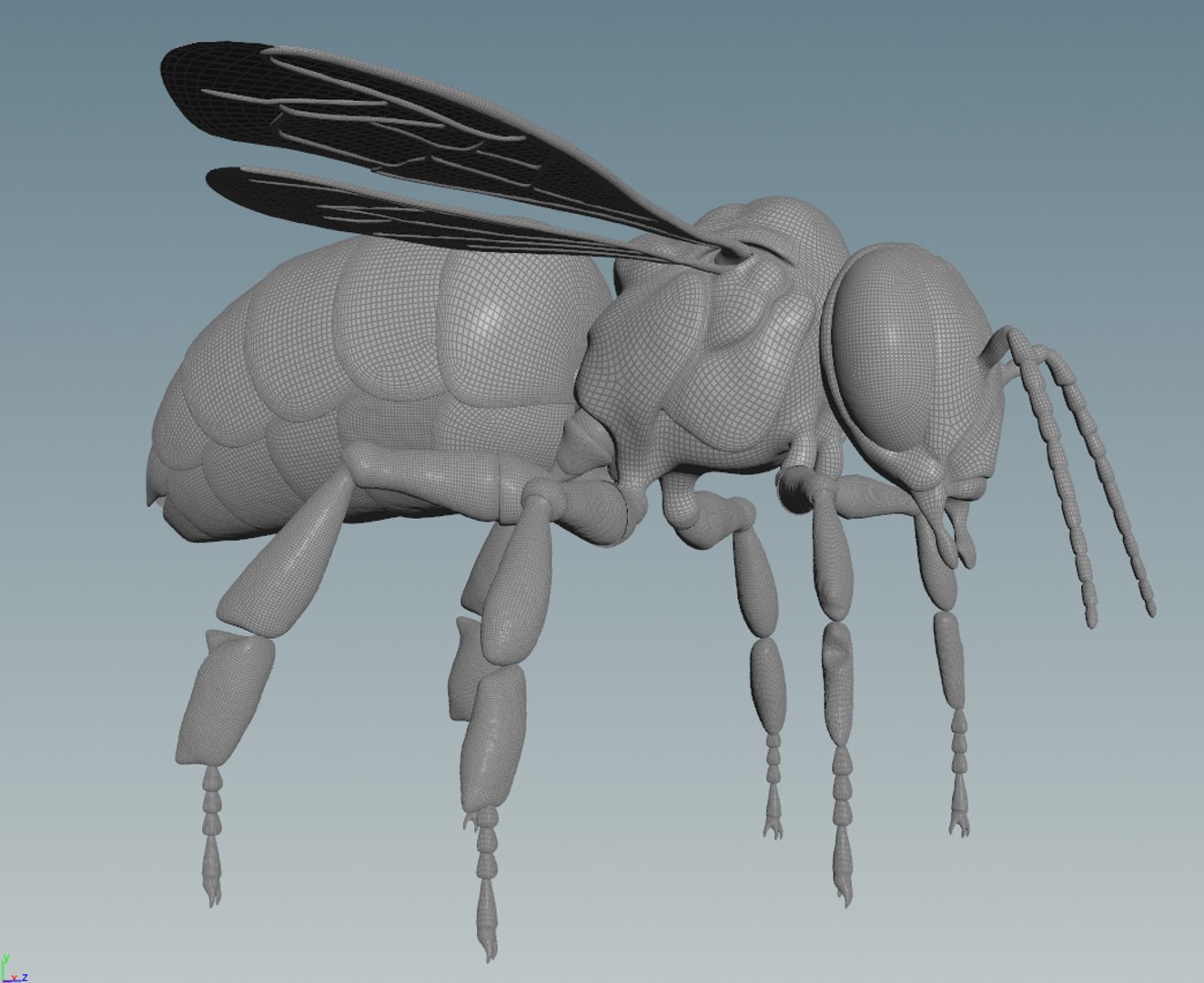 Honey Bee 3D Model - TurboSquid 1493407