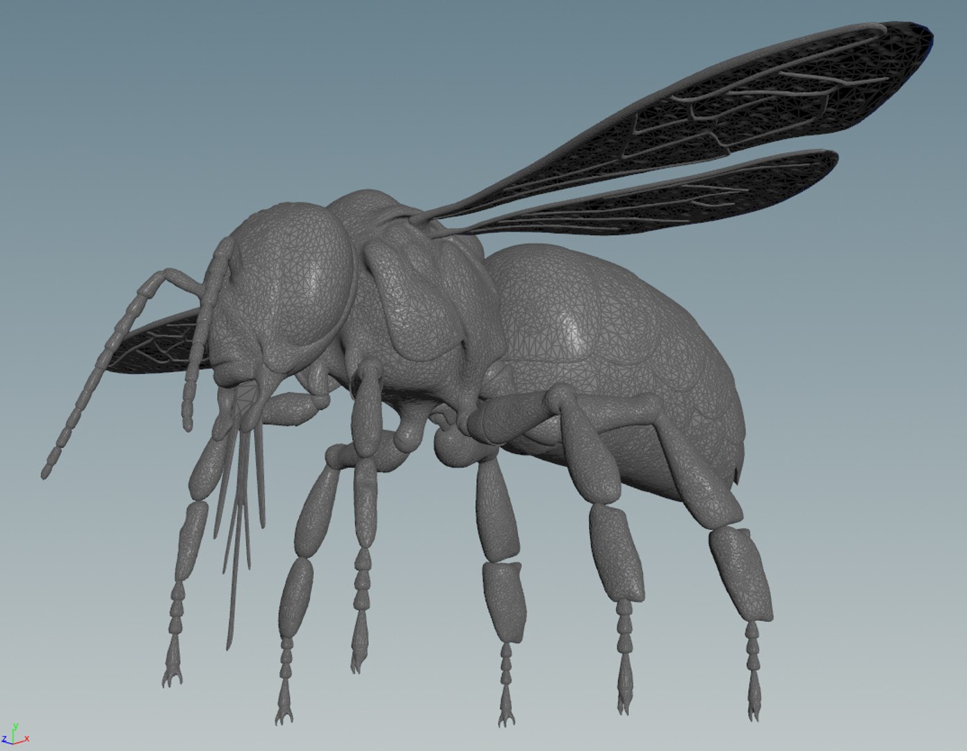 Honey Bee 3D Model - TurboSquid 1493407