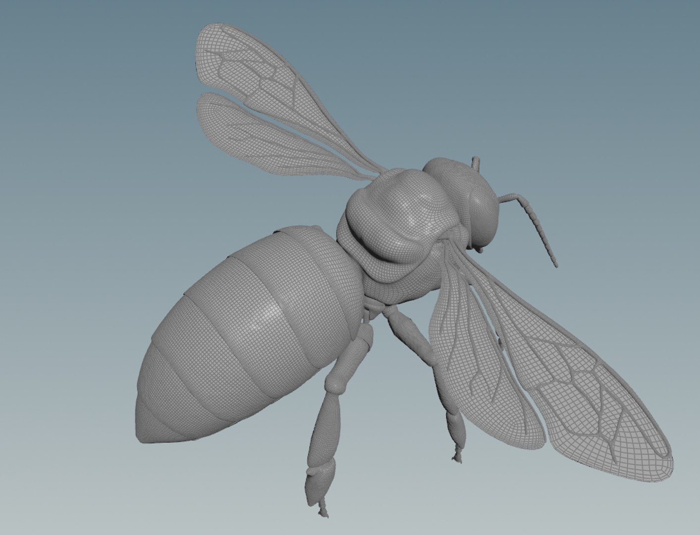 Honey Bee 3D Model - TurboSquid 1493407