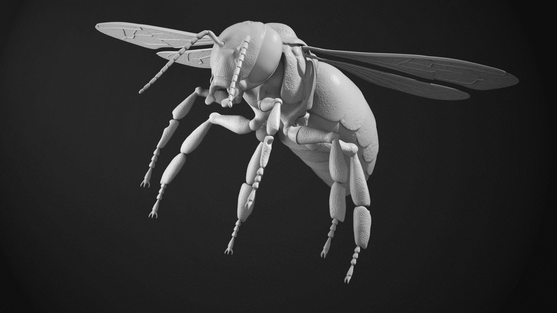 Honey Bee 3D Model - TurboSquid 1493407