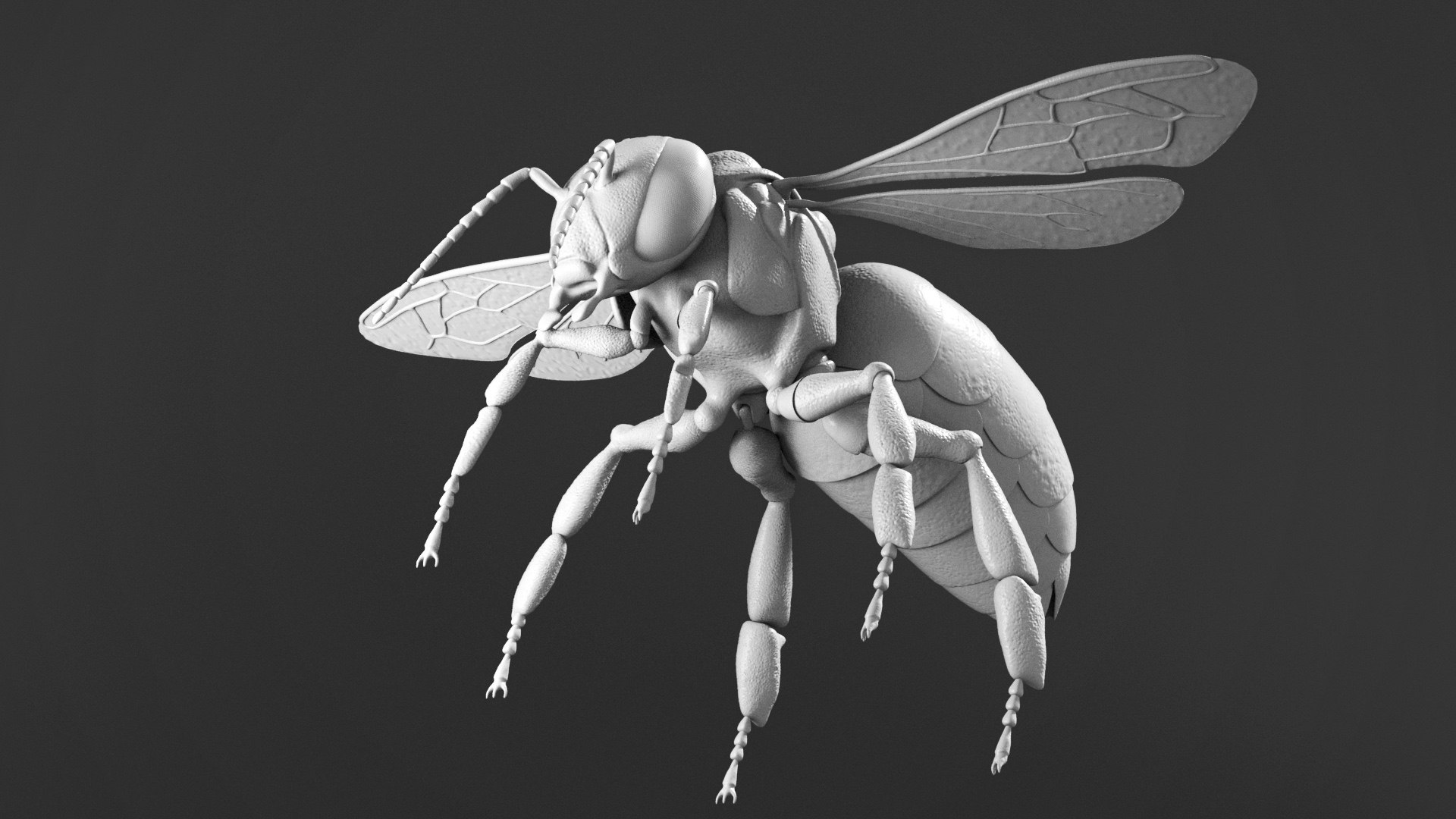 Honey Bee 3D Model - TurboSquid 1493407
