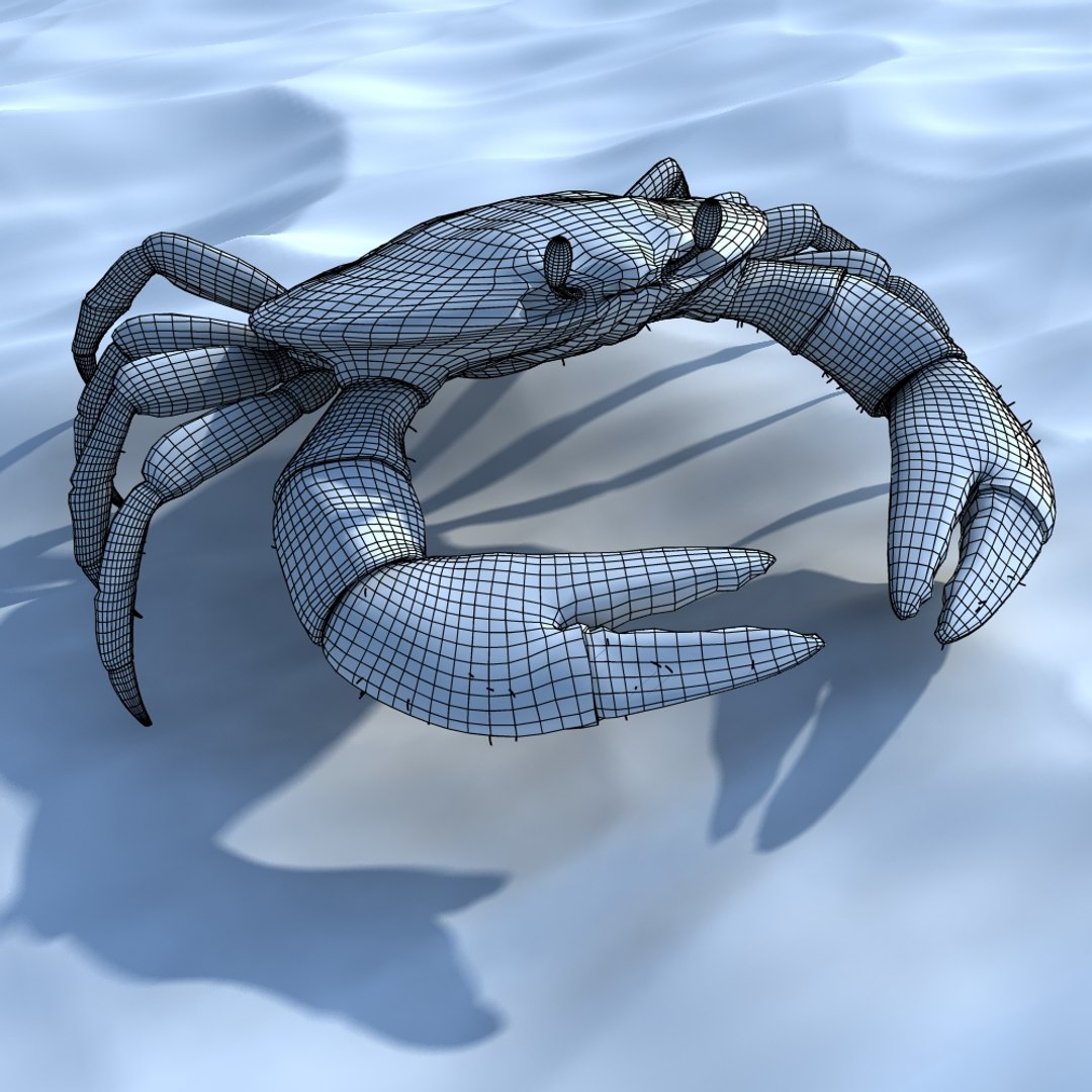 3d Model Small Crab Rigged