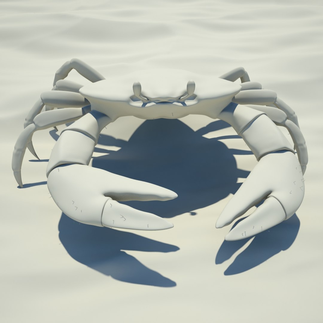 3d Model Small Crab Rigged