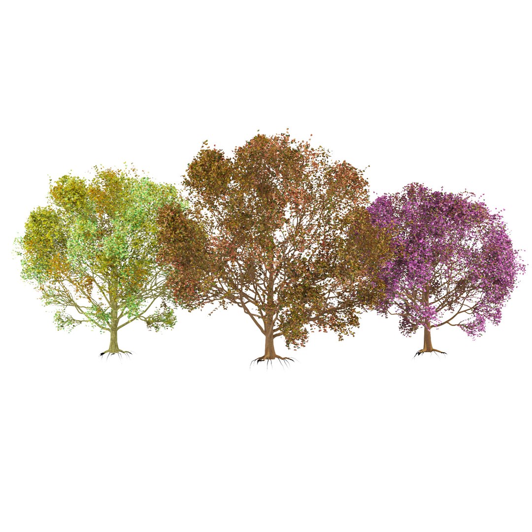 3D High-Quality 3D colorful Tree Models - TurboSquid 2121585