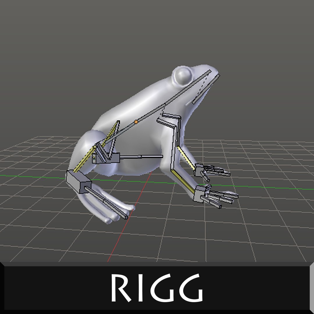 3d frog animation model