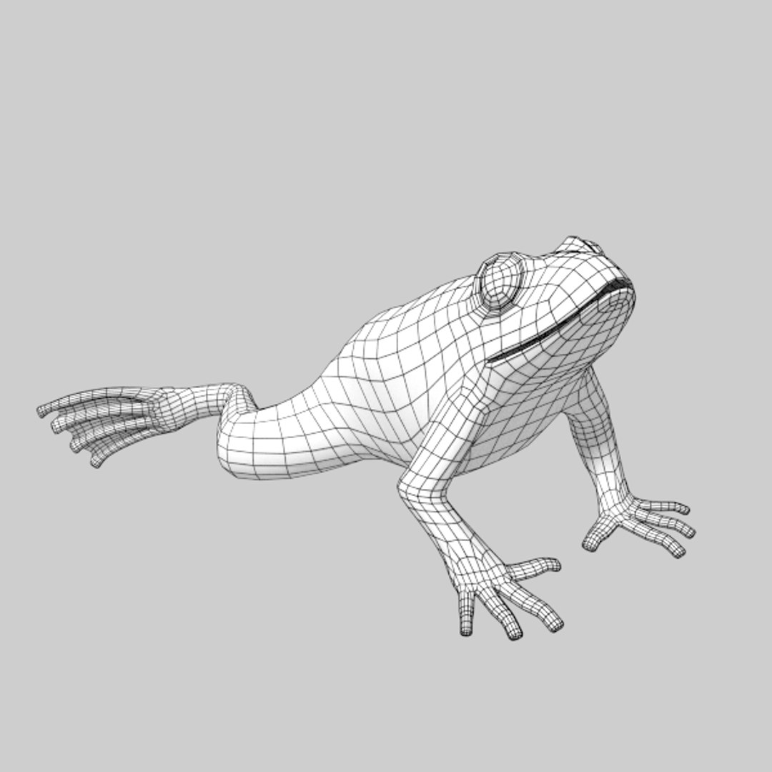 3d frog animation model