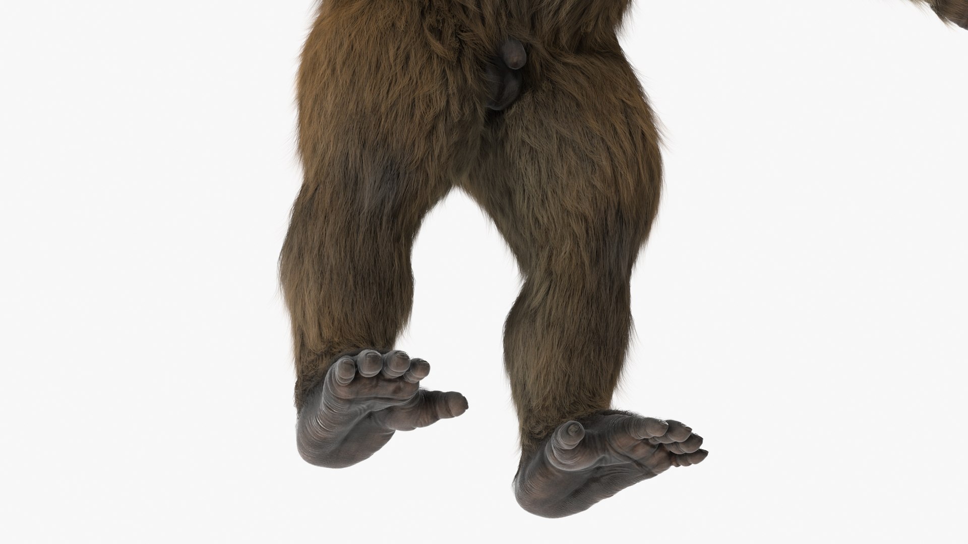Gigantopithecus A-Pose Fur 3D Model - TurboSquid 2311398