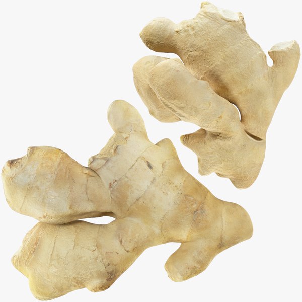 Ginger 3D Models for Download | TurboSquid