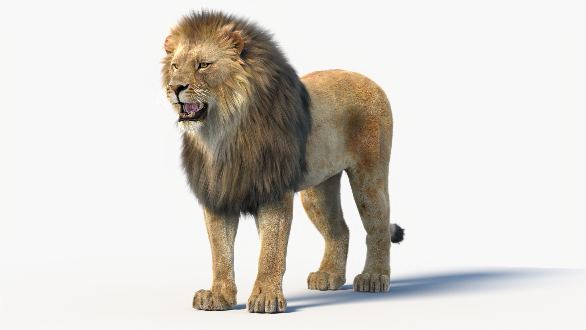 Animated Lion 3D Model Fur 3D Model - TurboSquid 2323992