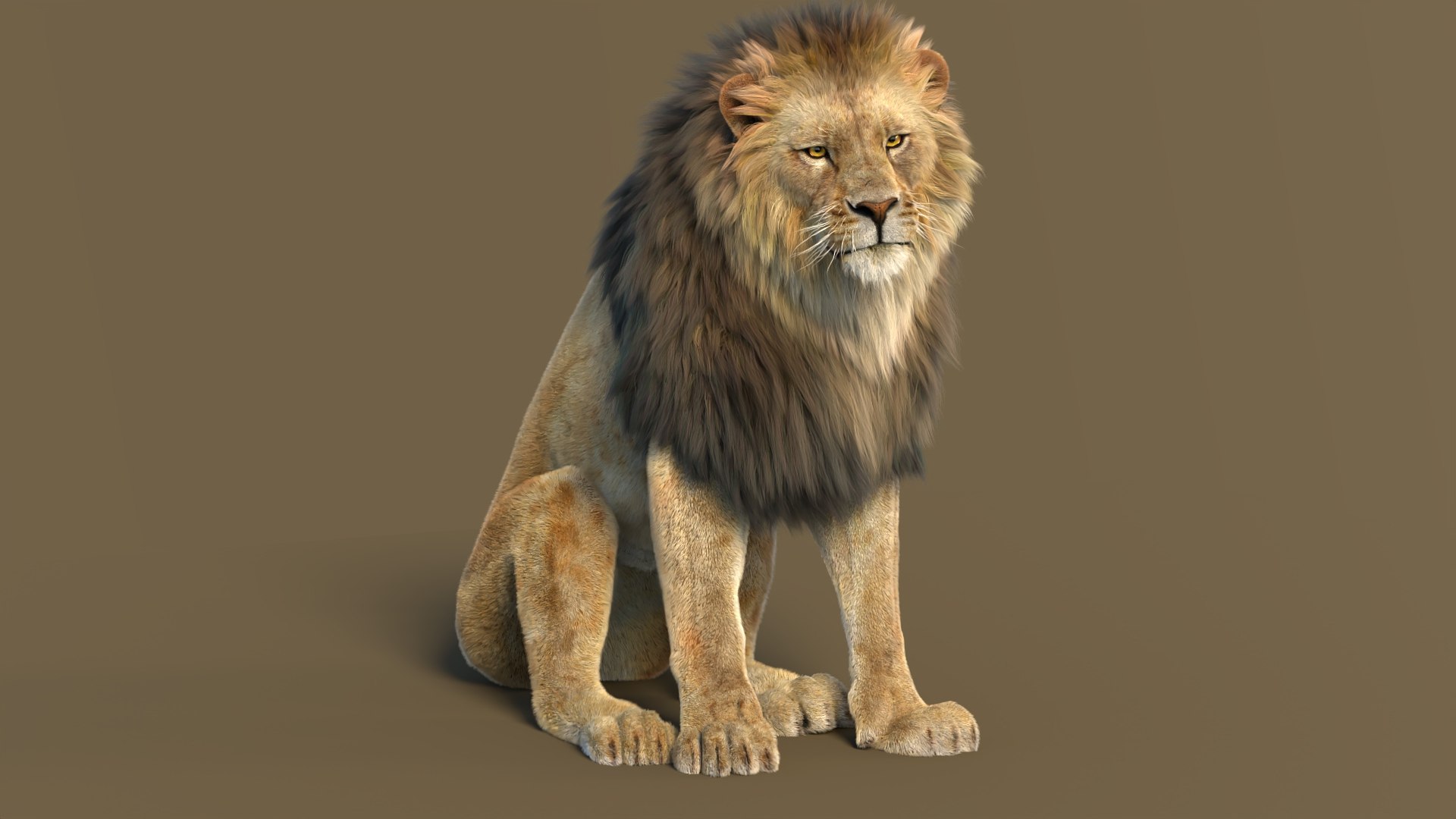 Animated Lion 3D Model Fur 3D Model - TurboSquid 2323992