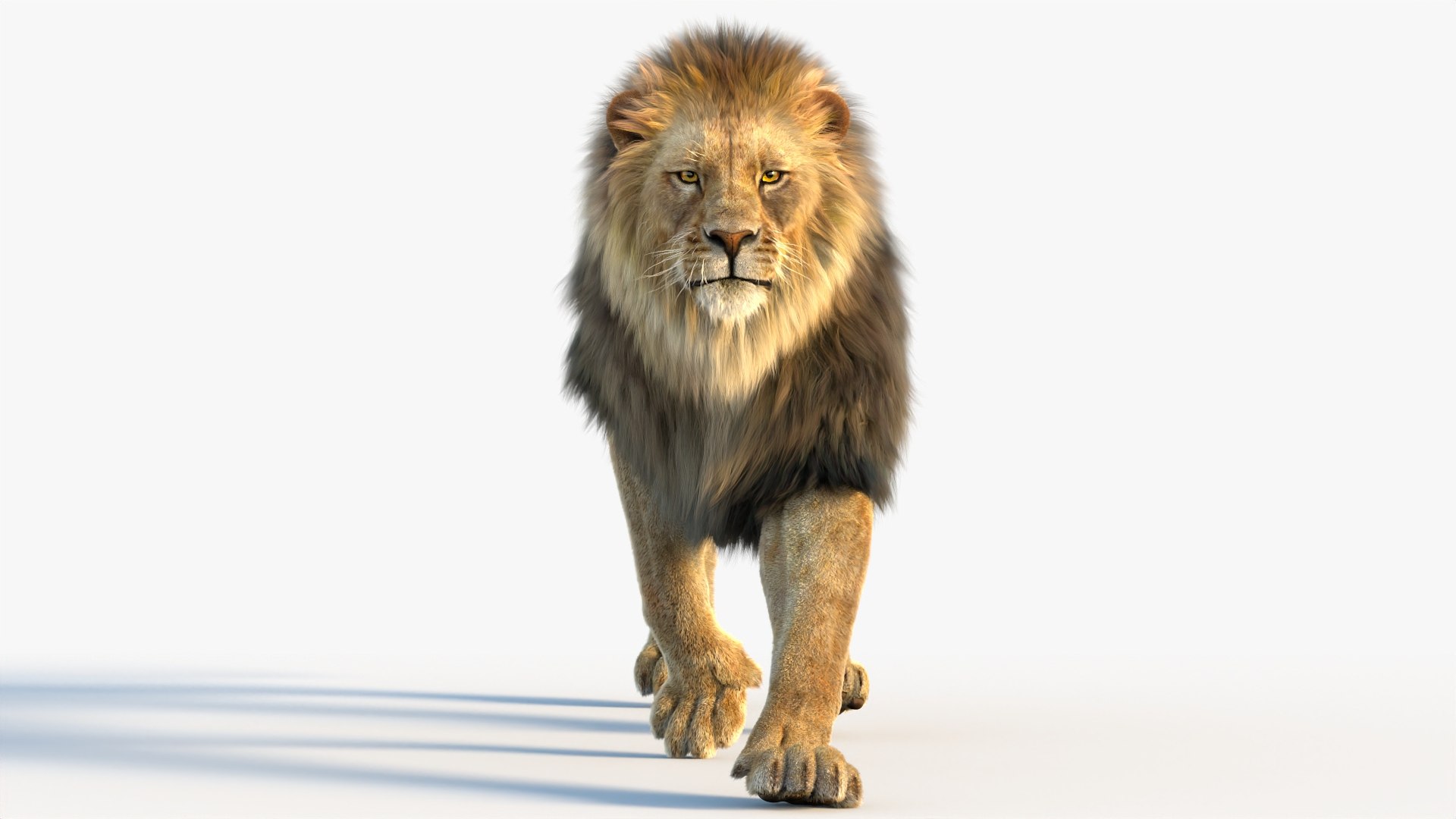 Animated Lion 3D Model Fur 3D Model - TurboSquid 2323992