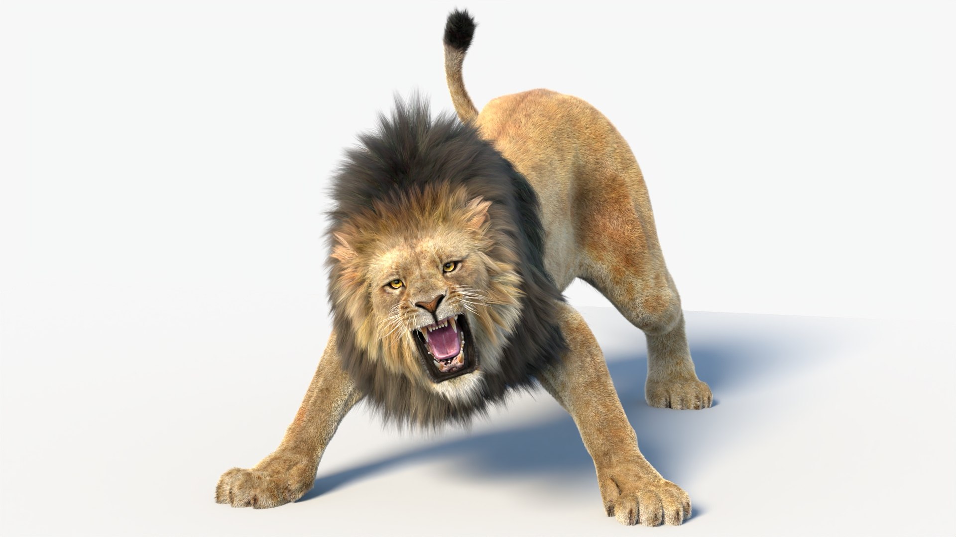 Animated Lion 3D Model Fur 3D Model - TurboSquid 2323992