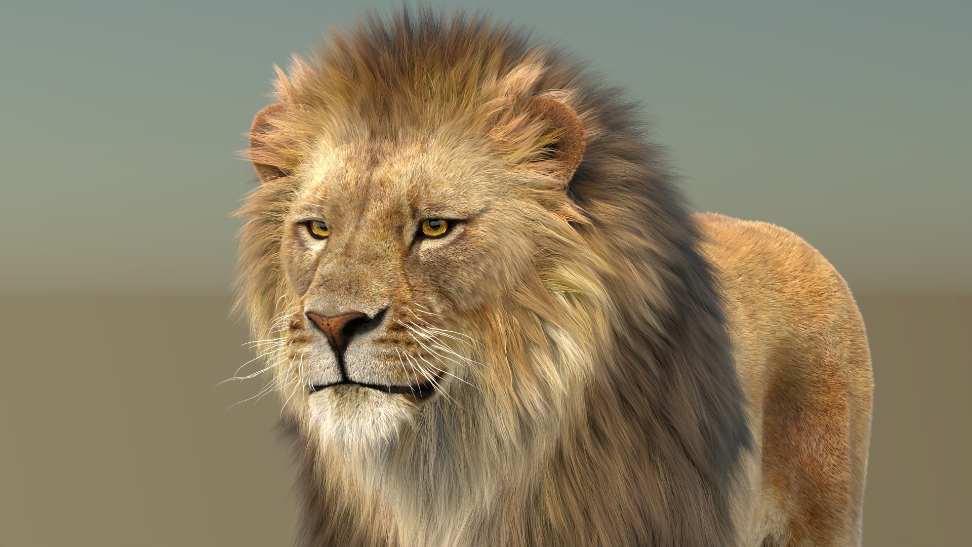 Animated Lion 3D Model Fur 3D Model - TurboSquid 2323992