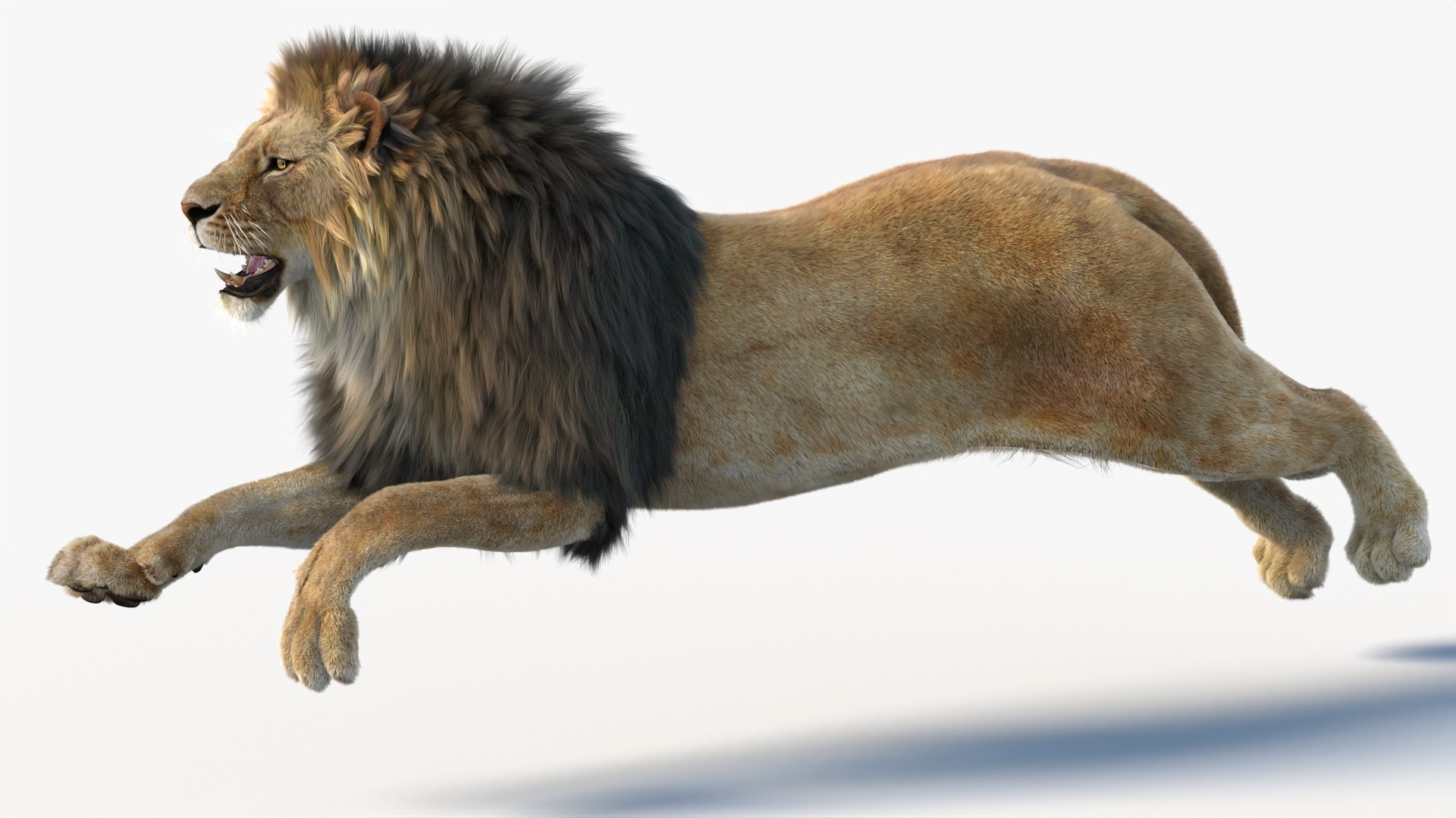 Animated Lion 3D Model Fur 3D Model - TurboSquid 2323992