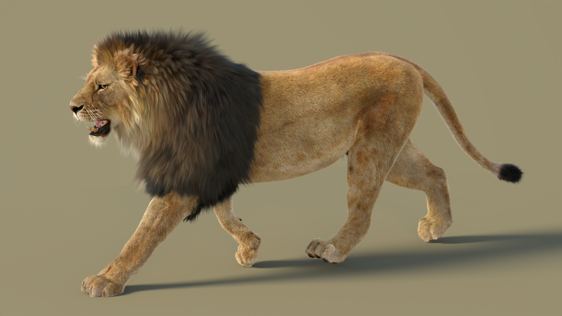 Animated Lion 3D Model Fur 3D Model - TurboSquid 2323992