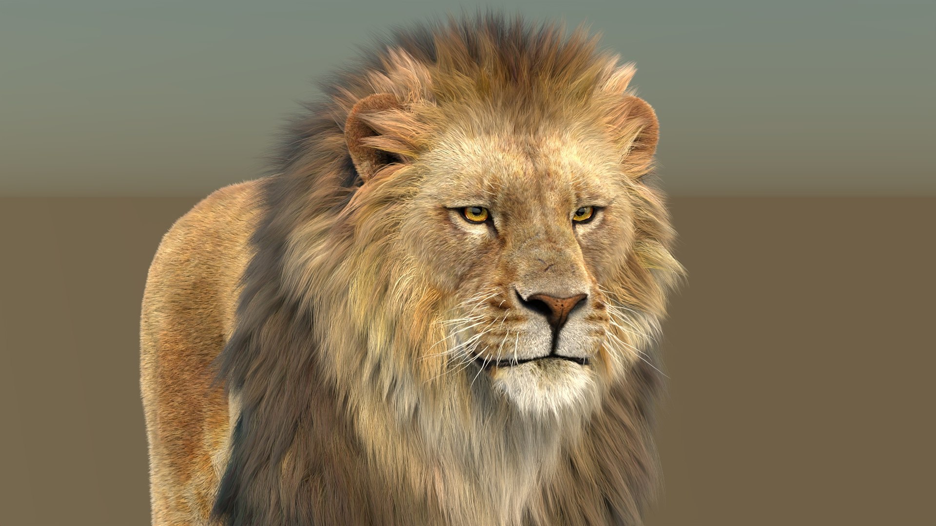 Animated Lion 3D Model Fur 3D Model - TurboSquid 2323992
