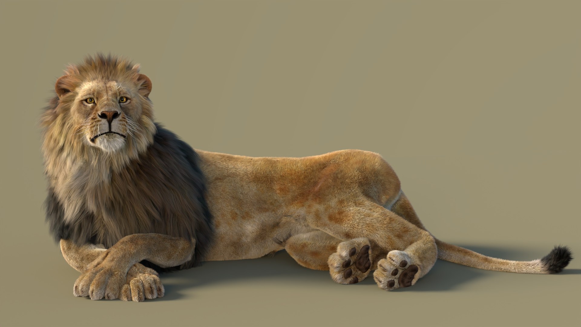 Animated Lion 3D Model Fur 3D Model - TurboSquid 2323992